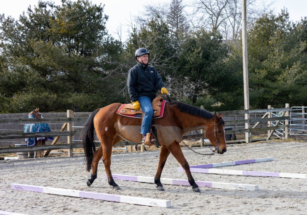 A Beginner’s Guide to Western Riding and Its Disciplines – Of Horse