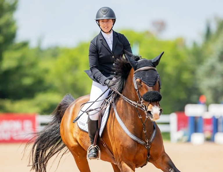 Differences Between Dressage, Eventing, and Show Jumping - Of Horse