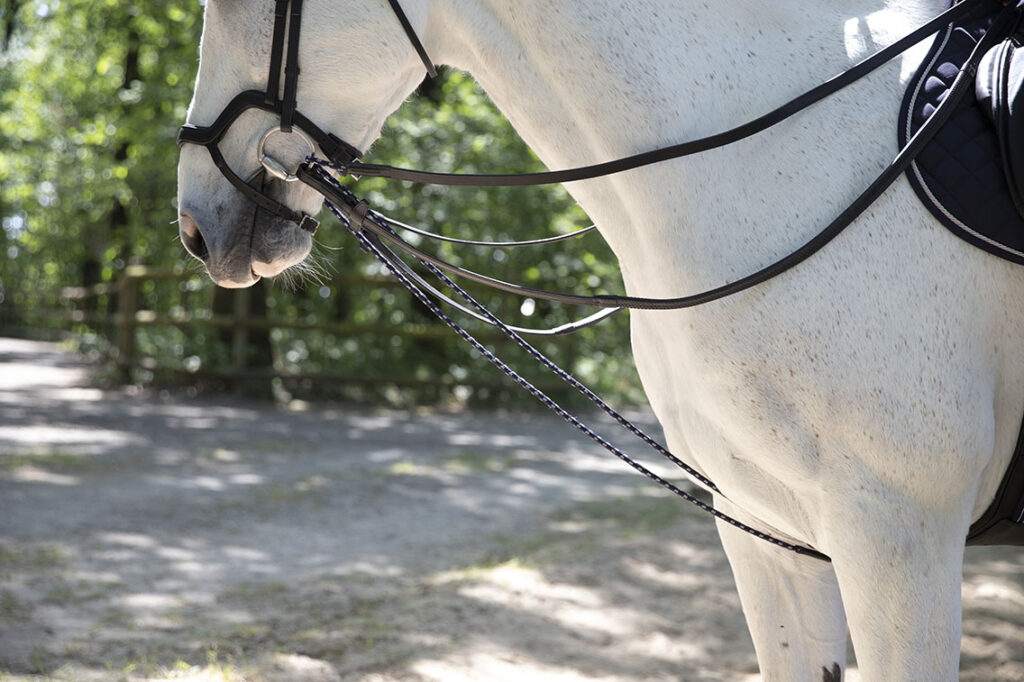 Horse Desensitizing Checklist: A Complete Guide to Calm – Of Horse