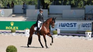 Leg Yield Dressage Training Explained – Of Horse