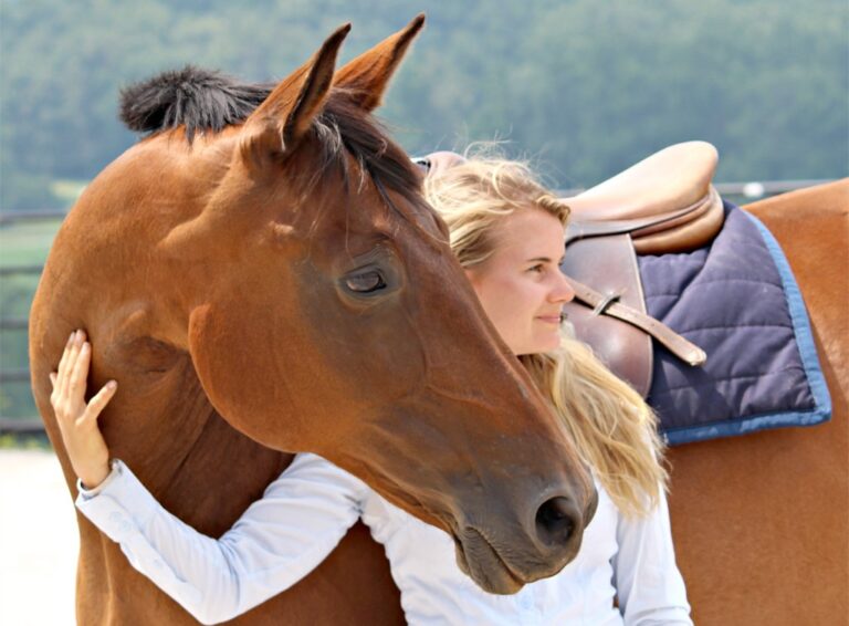 Dressage Judging Criteria Explained – Of Horse
